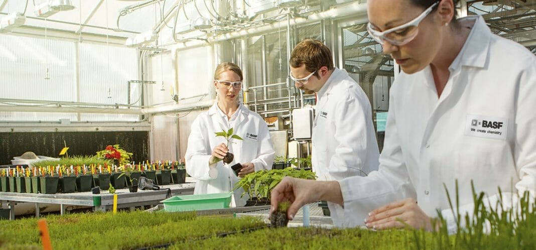 BASF Faced Tragedy on Halloween - BusinessToday