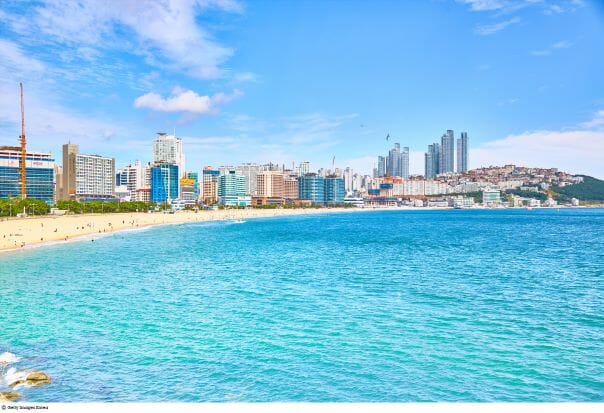 Shilla Stay reveals five reasons to visit Busan - BusinessToday