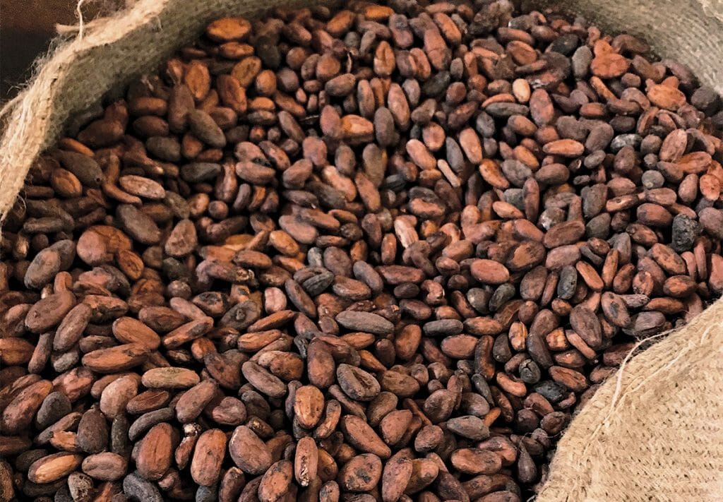 Guan Chong’s New Cocoa Plant With 60 KMT Capacity Will Boost Topline ...