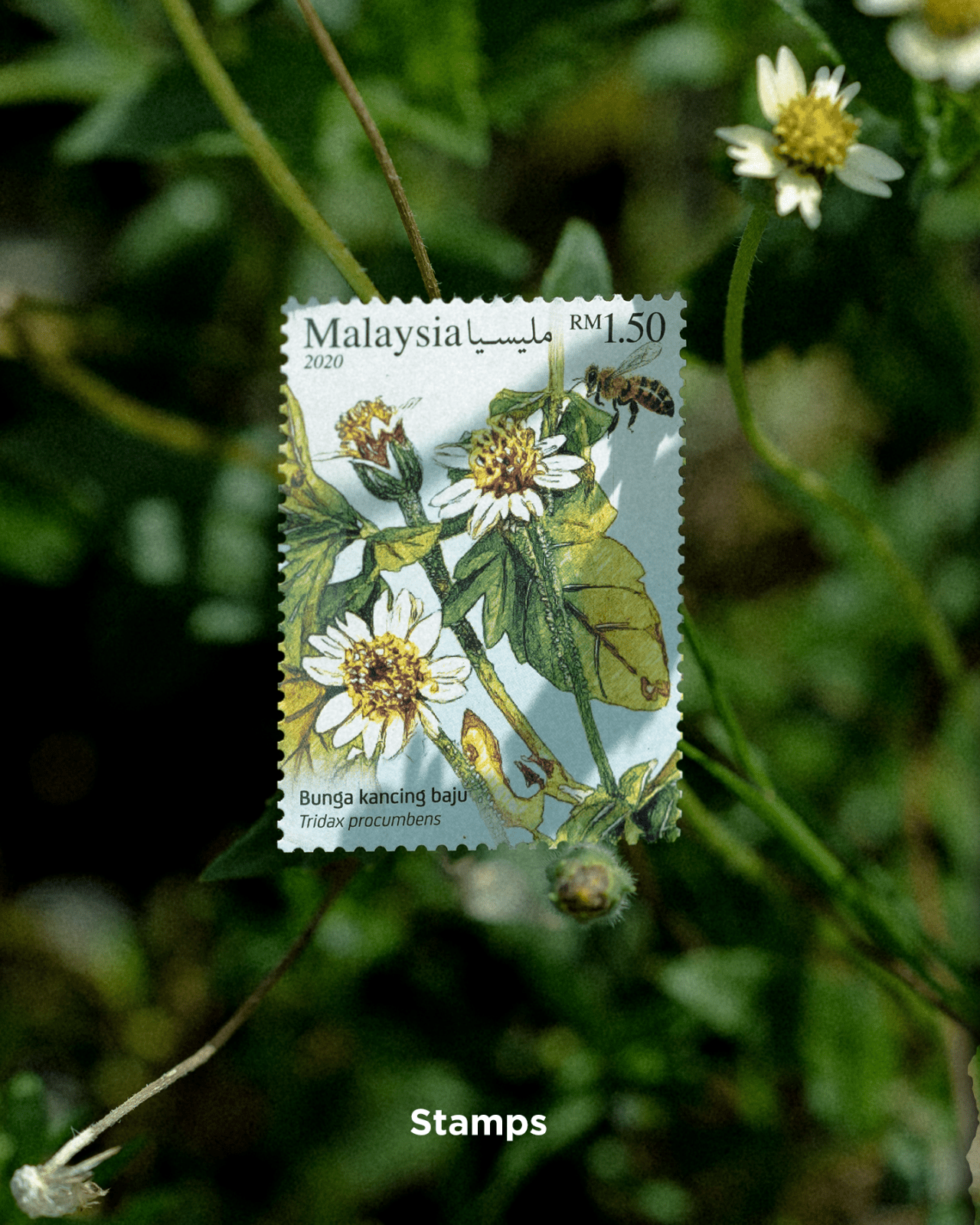 Pos Malaysia's Wildflowers stamp series makes a comeback - BusinessToday