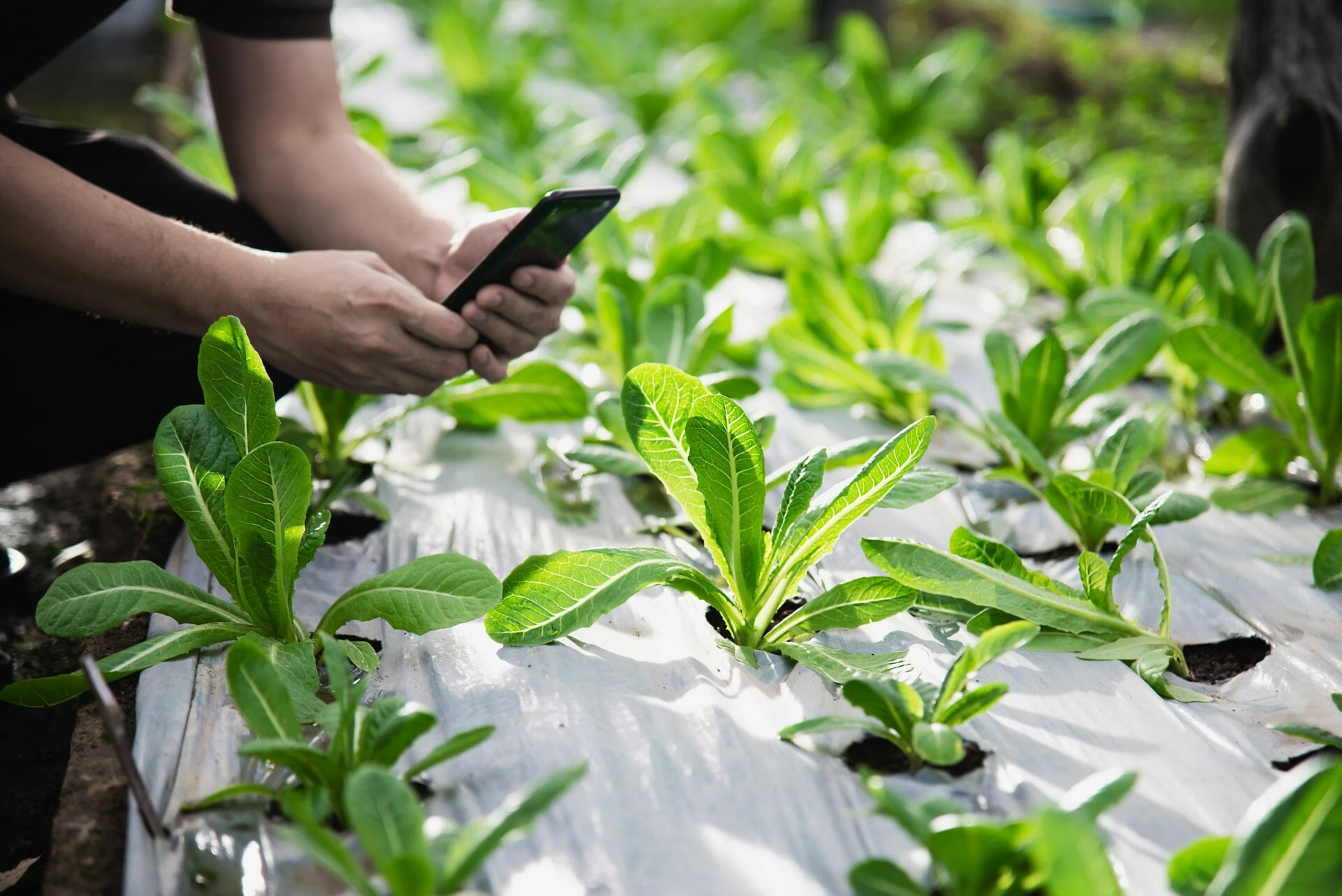 [Exclusive] Revolutionising Malaysia’s Agriculture Industry | BusinessToday