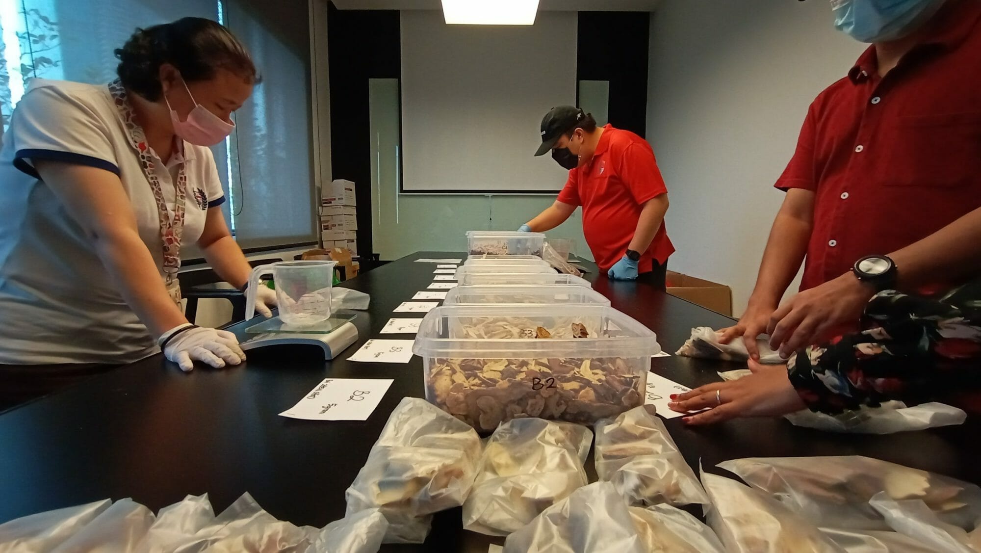 SDB continues to champion CSR causes for people with disabilities ...