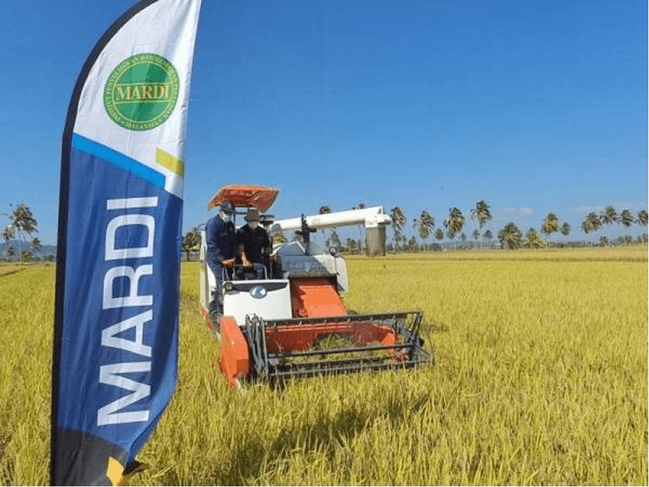 Latest R&D and Technology Increasing Higher Paddy Yields - BusinessToday