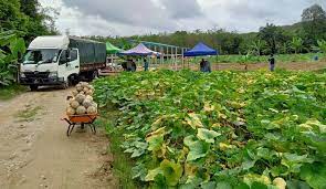 FAMA: Agro MADANI Sales To Stem Rising Living Costs, Boost ...