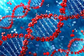 Malaysian Genomics Resource Optimistic On Turnaround Plans