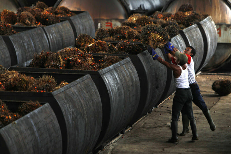 Bursa Malaysia Launces East Malaysia Crude Palm Oil Futures