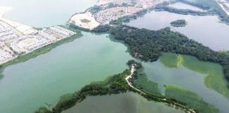 sg rasau - BusinessToday