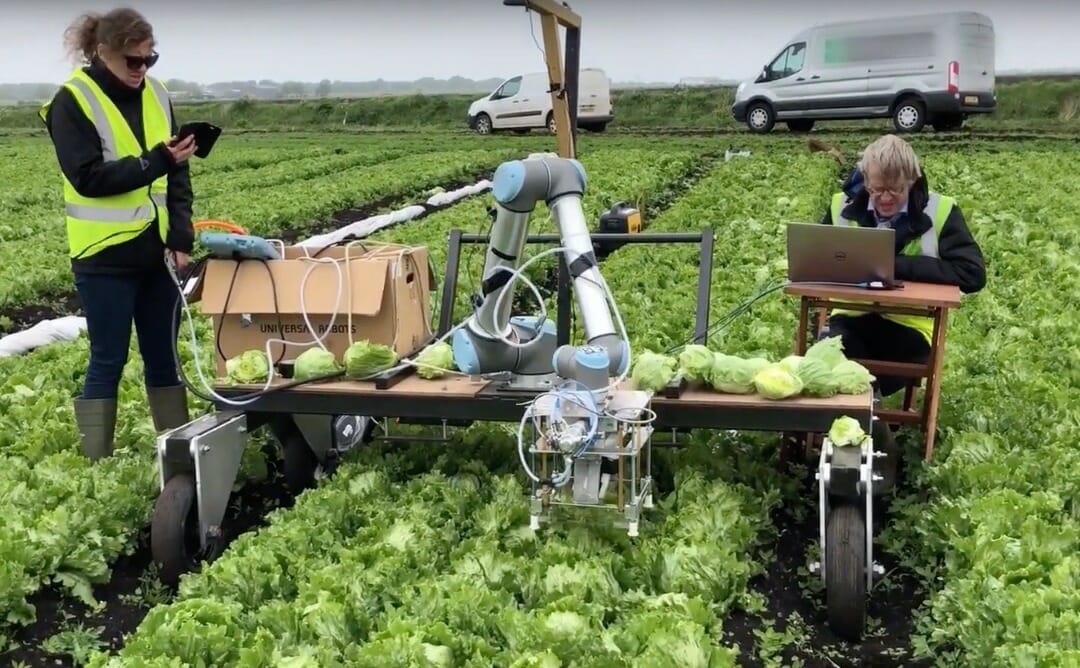 Farmers In Malaysia Urged To Leverage Cobots To Boost Agricultural ...