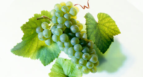 Interesting (but Lesser Known) White Varietals - BusinessToday