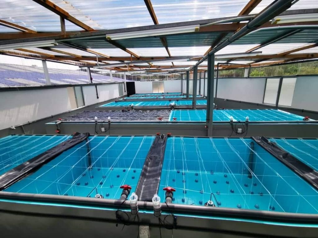 GK Aqua Seeks To Raise RM2 Million Via ECF Platform pitchIN - BusinessToday