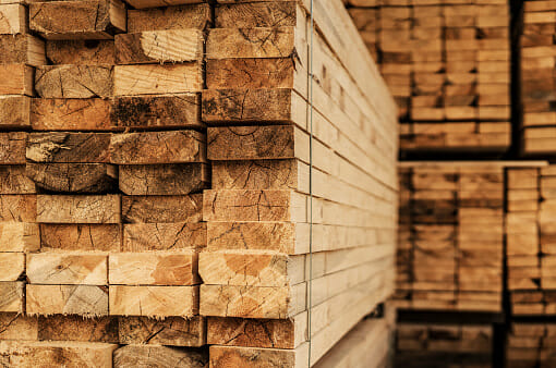 Cultivating Malaysia’s Timber Sustainably - BusinessToday