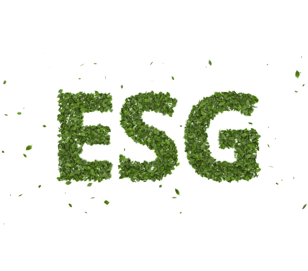 What does ESG mean? Two business scholars explain it - BusinessToday