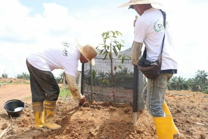 Durian Projects Now Closer To Singapore, Worlds Third Largest Durian ...
