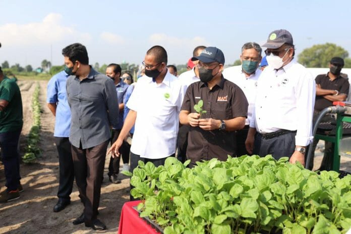 MAFI Secures The Country's Food Security