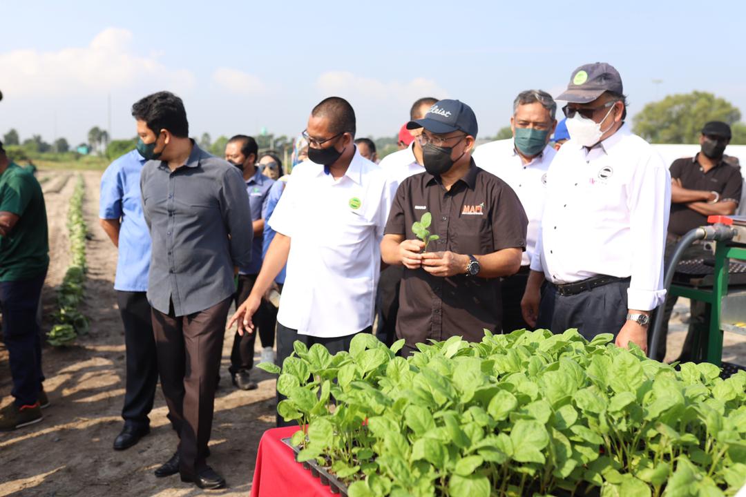 MAFI RM5.32 Billion Allocation, Where And How The Budget Will Be Spent