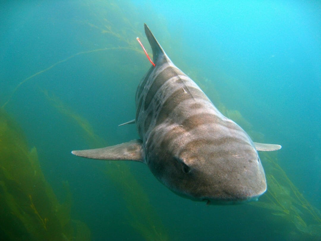 Four Spectacular Ocean Mothers - BusinessToday