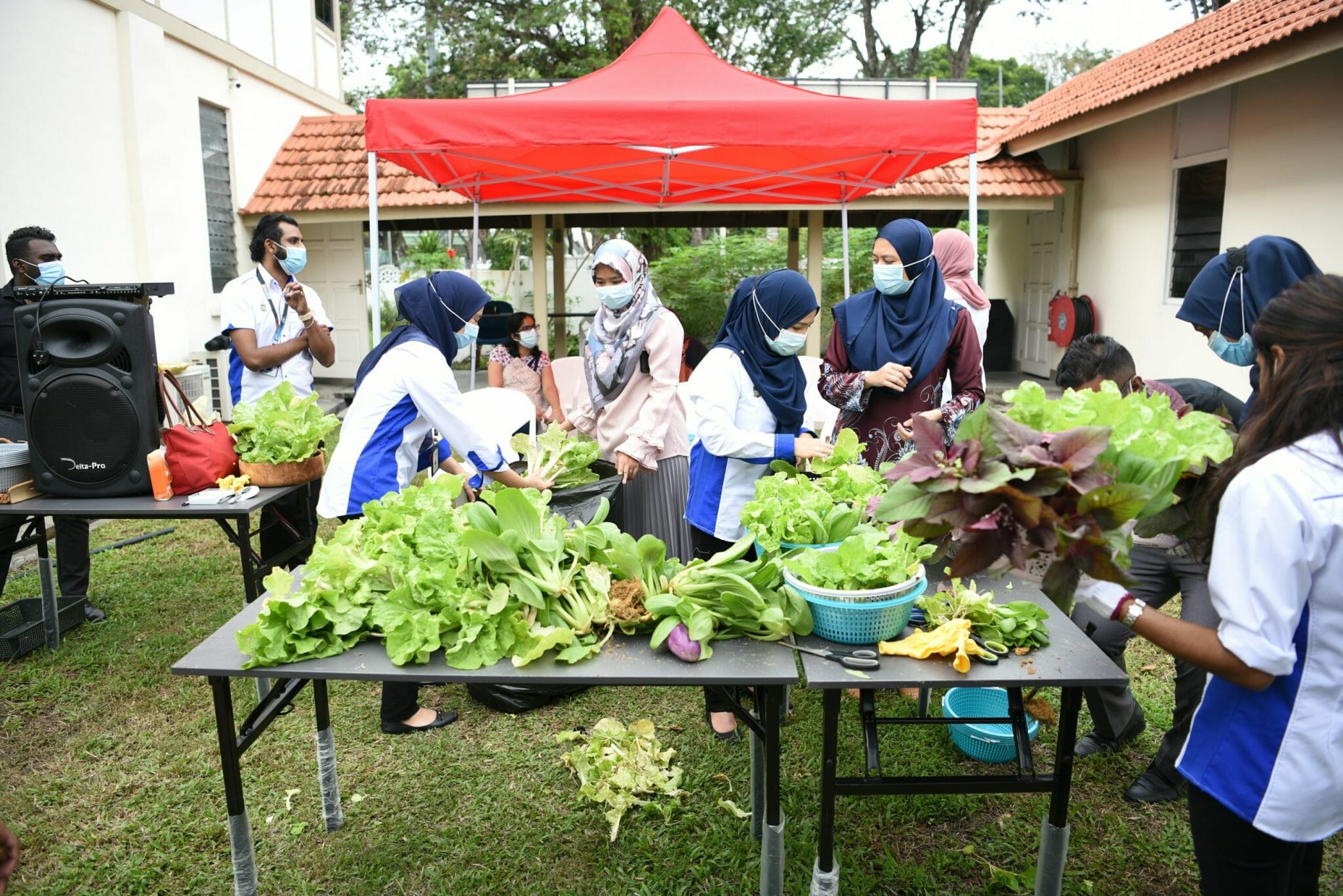 Incorporate Community Farming Into Food Production EcoSystem