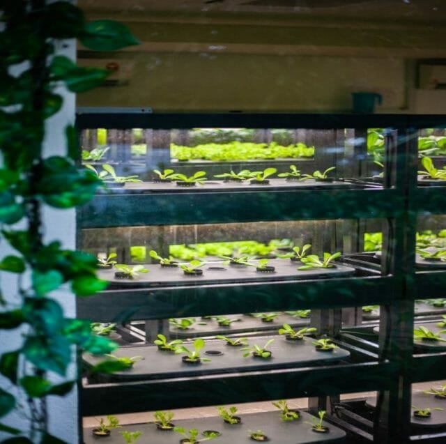 Loop Foods Brings the Real Deal in Eating Clean