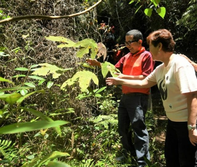 WWF Malaysia And CIMB Islamic Collaborate In Conserving Fraser Hill's ...