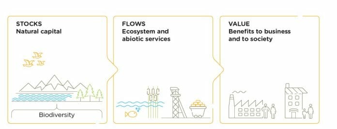 Natural Capital: What it is and how to use it sustainably (Part 1 ...