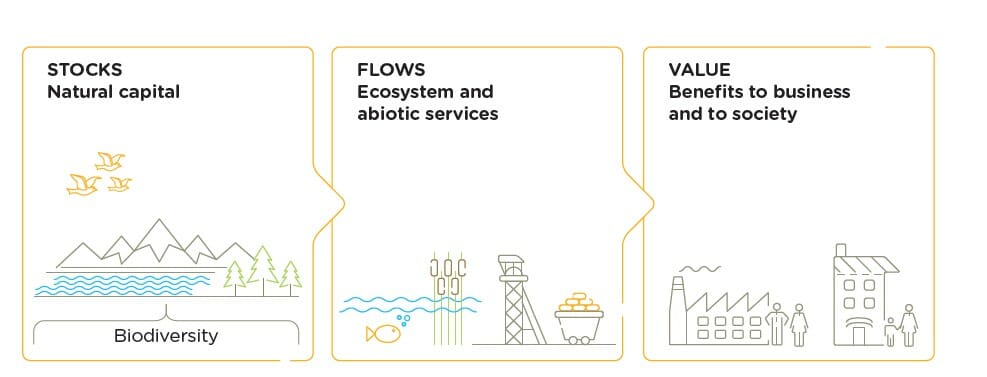 Natural Capital: What it is and how to use it sustainably (Part 1 ...