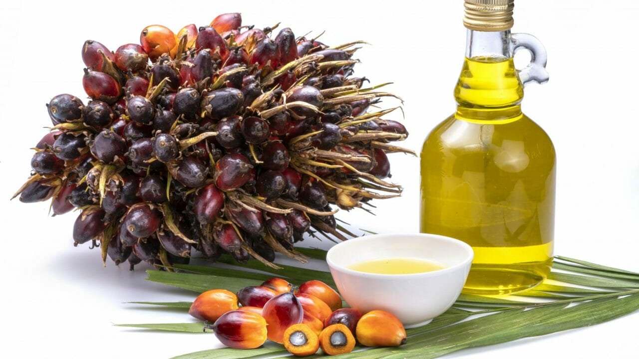 Downstream Palm Oil Products Worth RM47 Billion Sold In Local Market ...