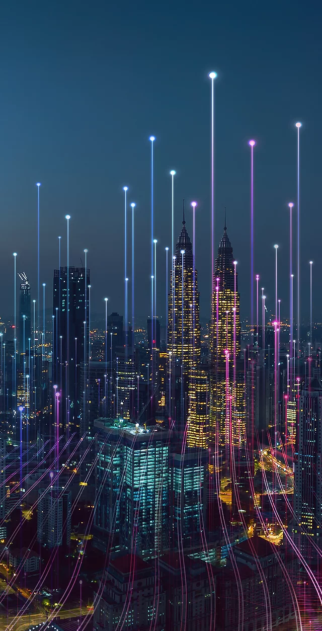 Stock Picks of the day: Infoline Tech Group, Pappajack - BusinessToday