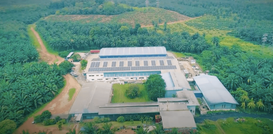 Plus Xnergy Powers Up BOH Tea With Almost RM2 Million Worth Of Solar ...