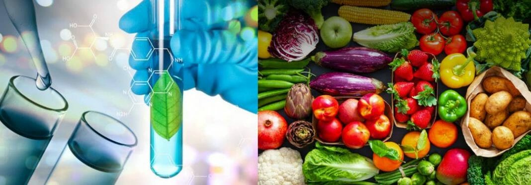 Creating A Comprehensive Biotechnology Ecosystem in Malaysia ...