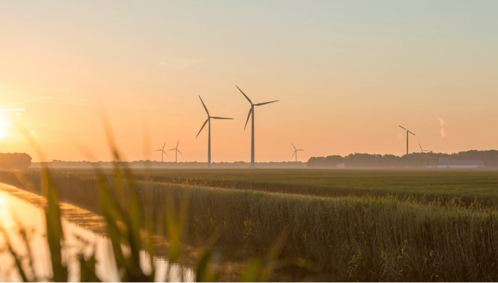 IEA: New Global Renewables Capacity To Rise in 2023 - BusinessToday