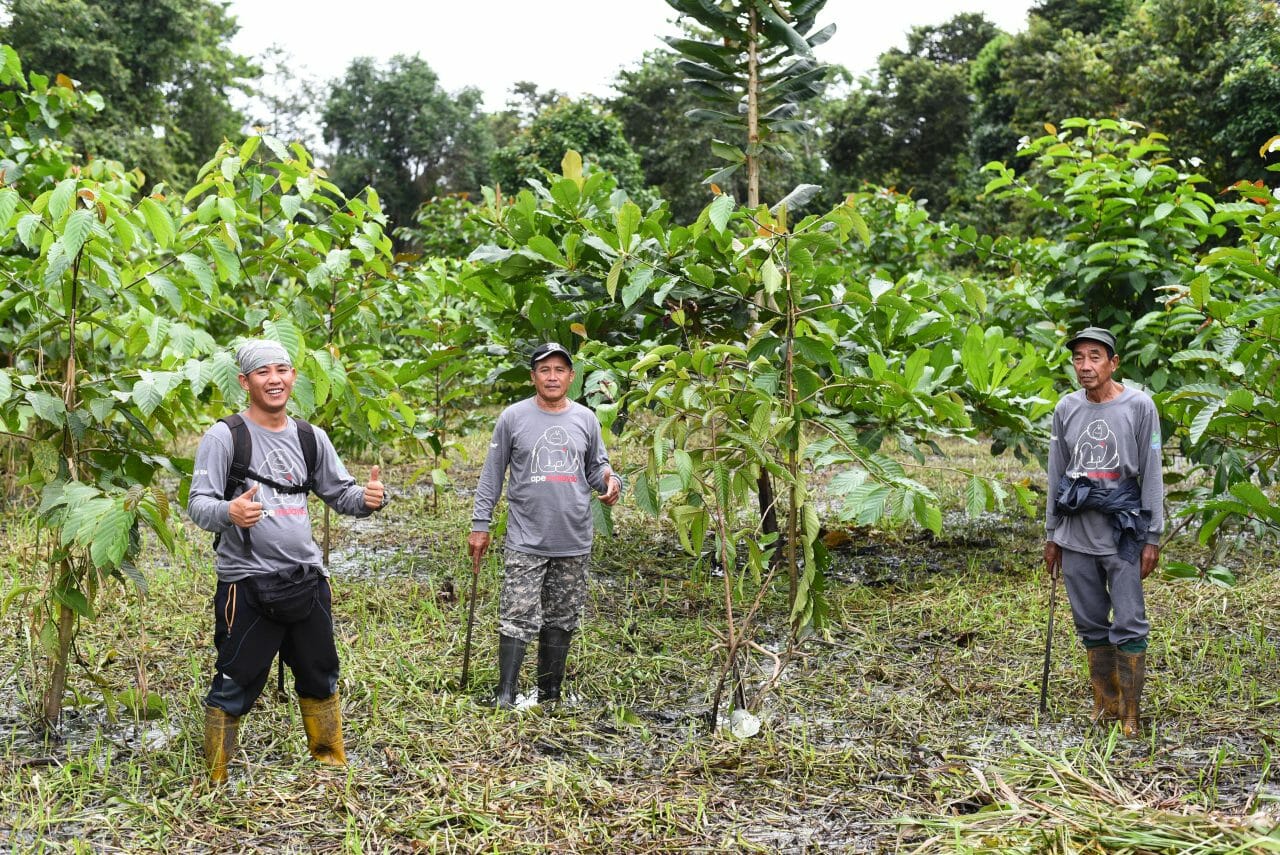 Chubb’s “More Trees for A Better Tomorrow Project” Supports ...