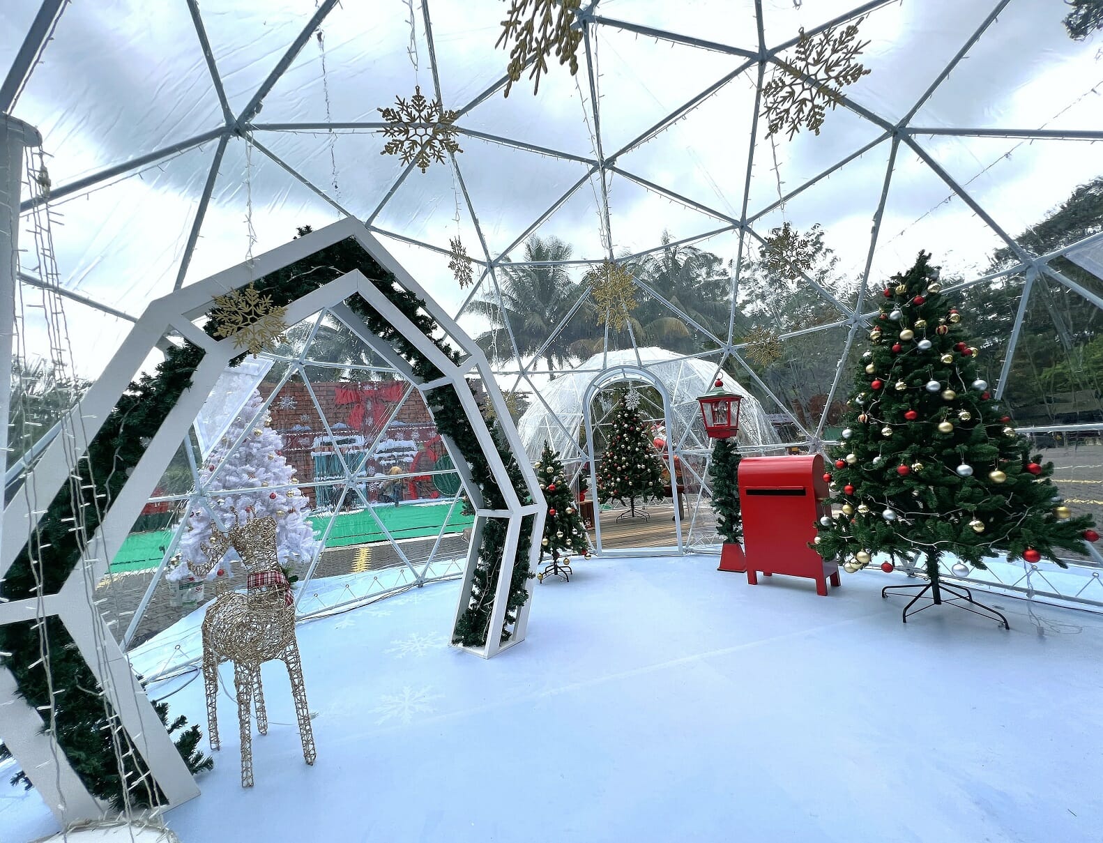 Year-end holiday fun at the Spritzer EcoPark with a Winter Carnival ...