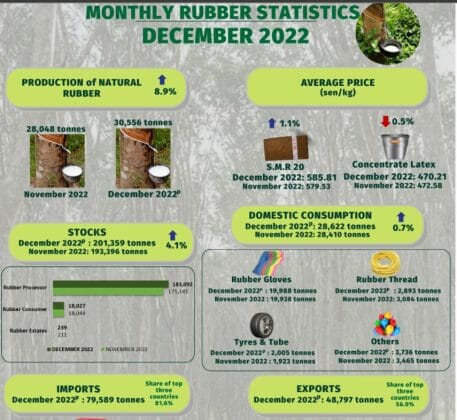 Natural Rubber Production Climbed 8.9% in December 2022 - BusinessToday