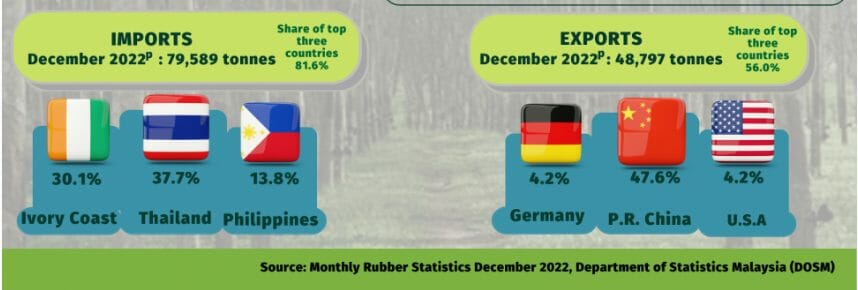 Natural Rubber Production Climbed 8.9% in December 2022 - BusinessToday