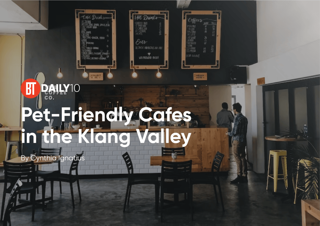 Pet-Friendly Cafes in the Klang Valley You Should Bring Your Pets To ...