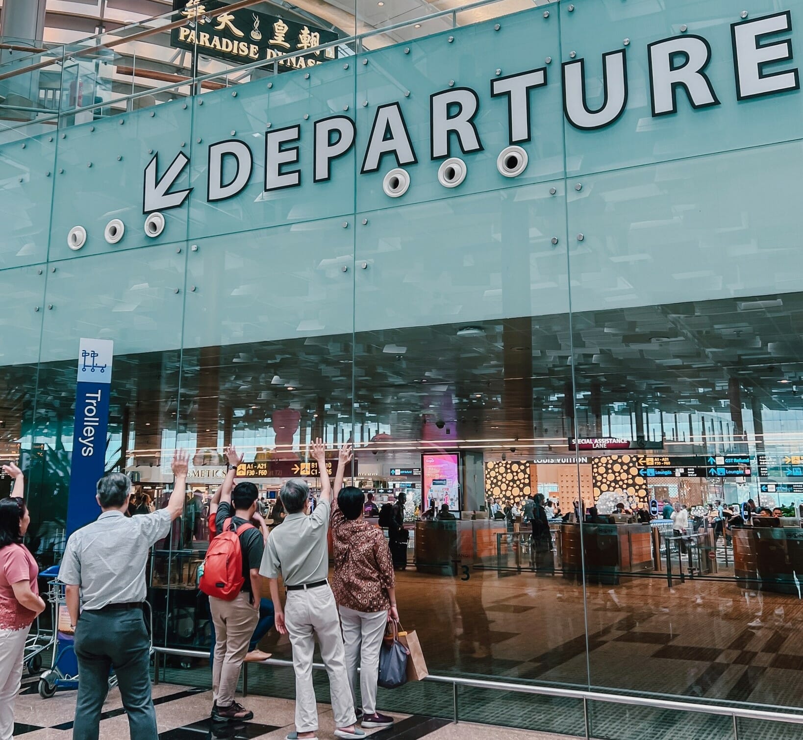 Singapore To Conduct Temperature Checks At Airport Amid Nipah Virus Fear