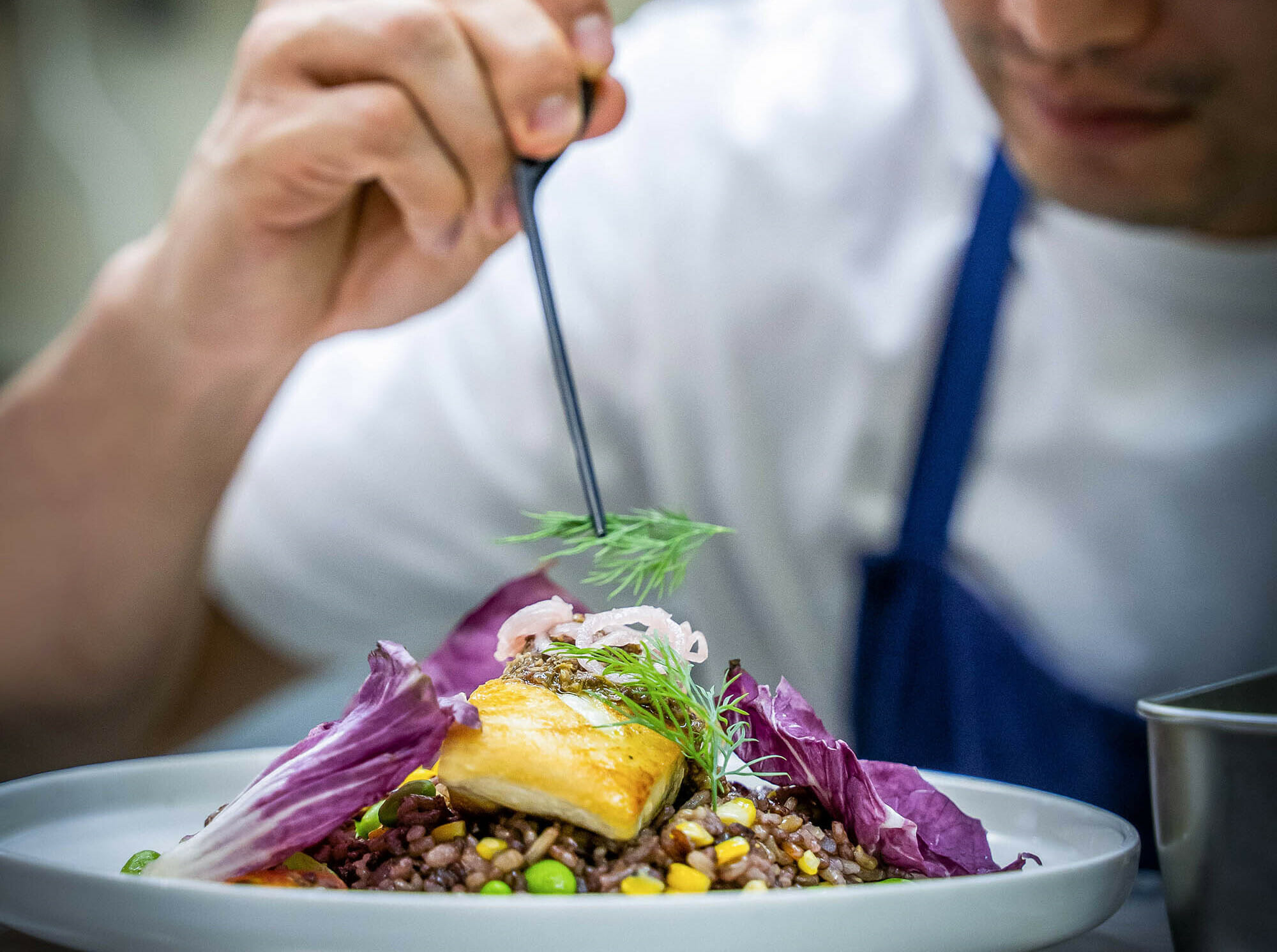 After One: Sailing The Mediterranean Seas Of Flavour And Health ...
