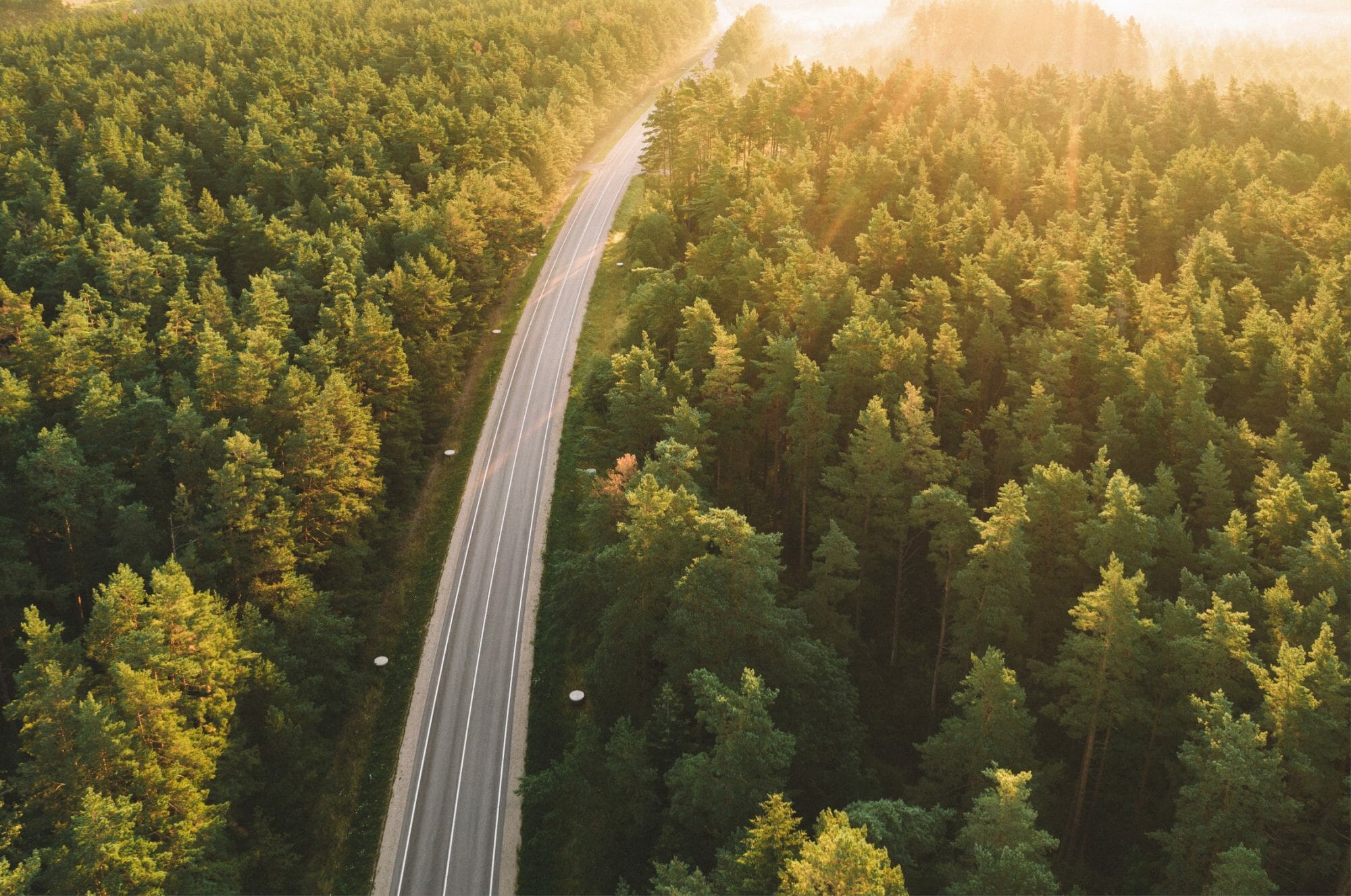 Helping To Build Better Roads In The Region - BusinessToday