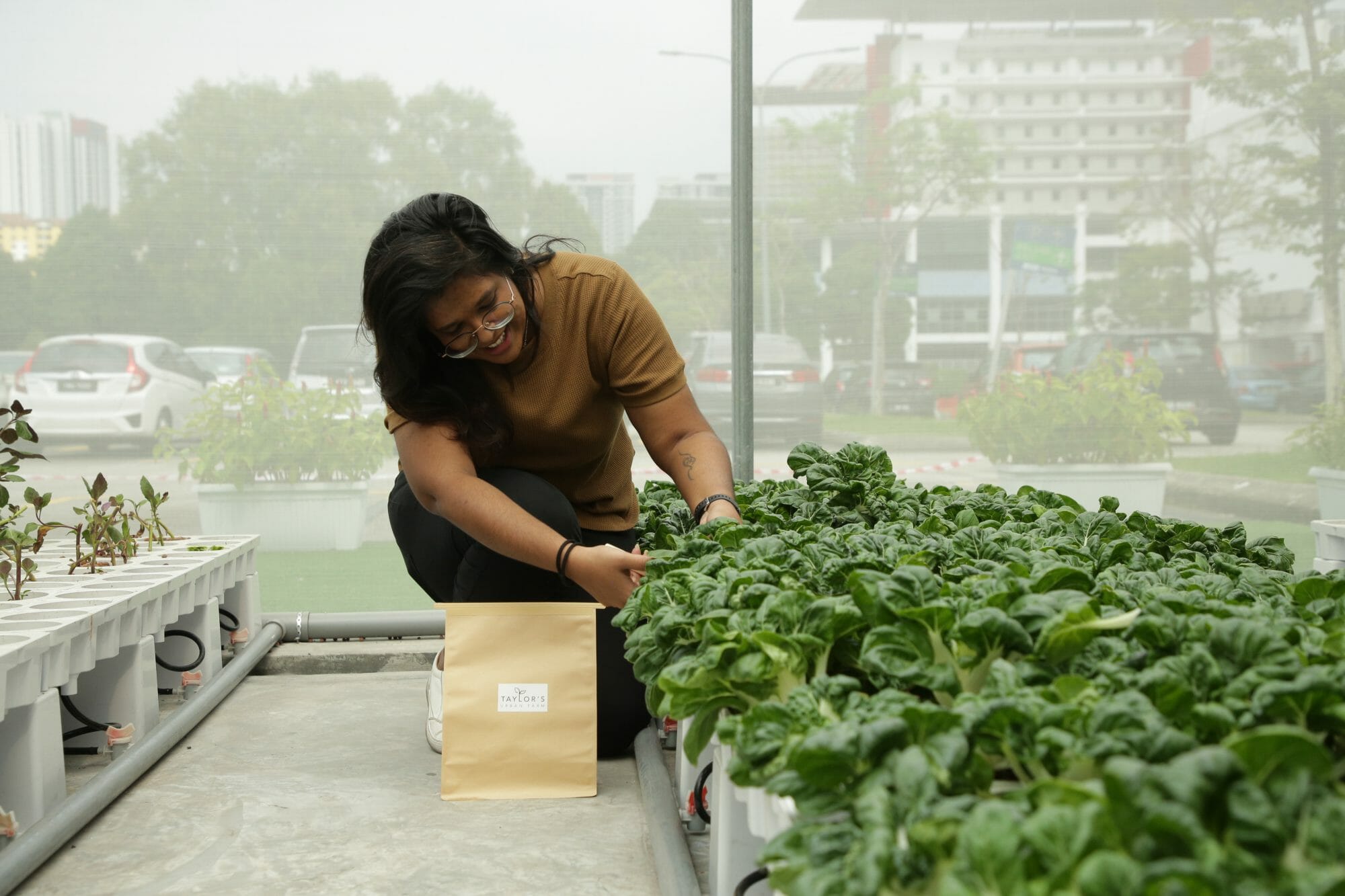 Advocating For Sustainable Food Systems At Taylor's Urban Farm ...