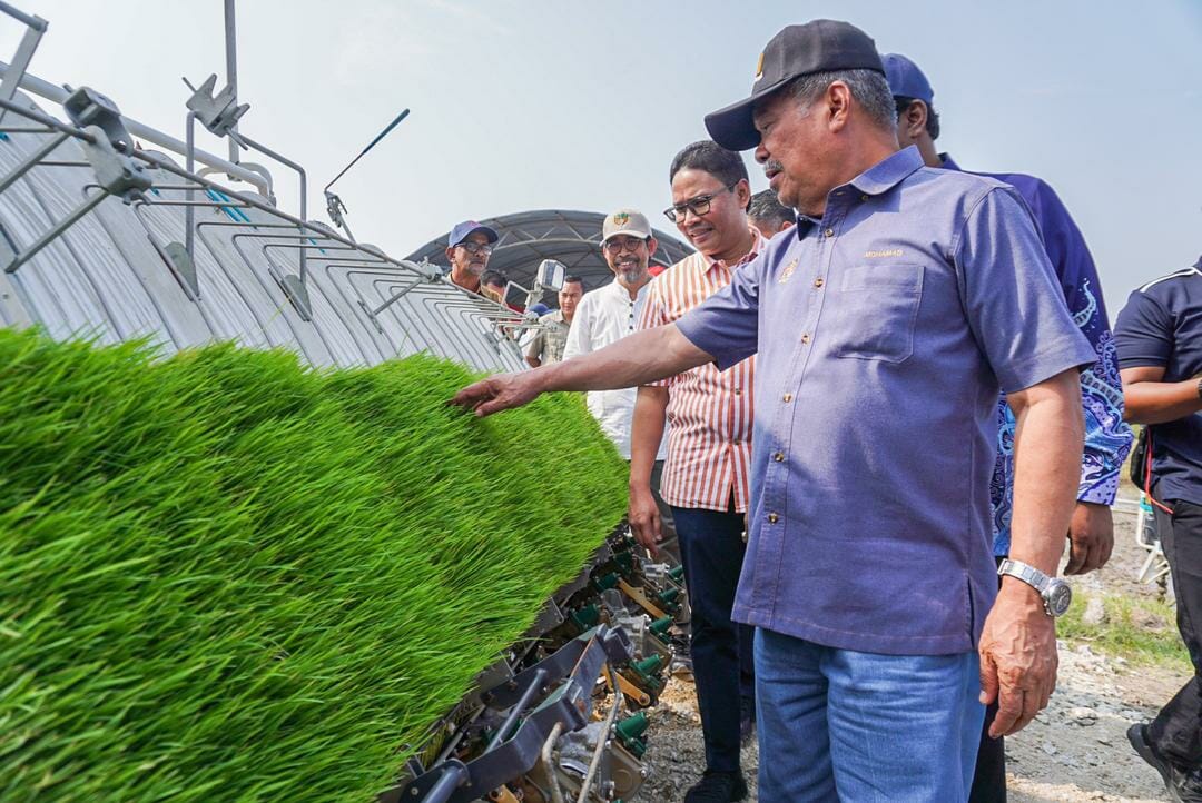 Talks Held With Indian Govt Reps Regarding White Rice Export Restrictions: Mat Sabu - BusinessToday