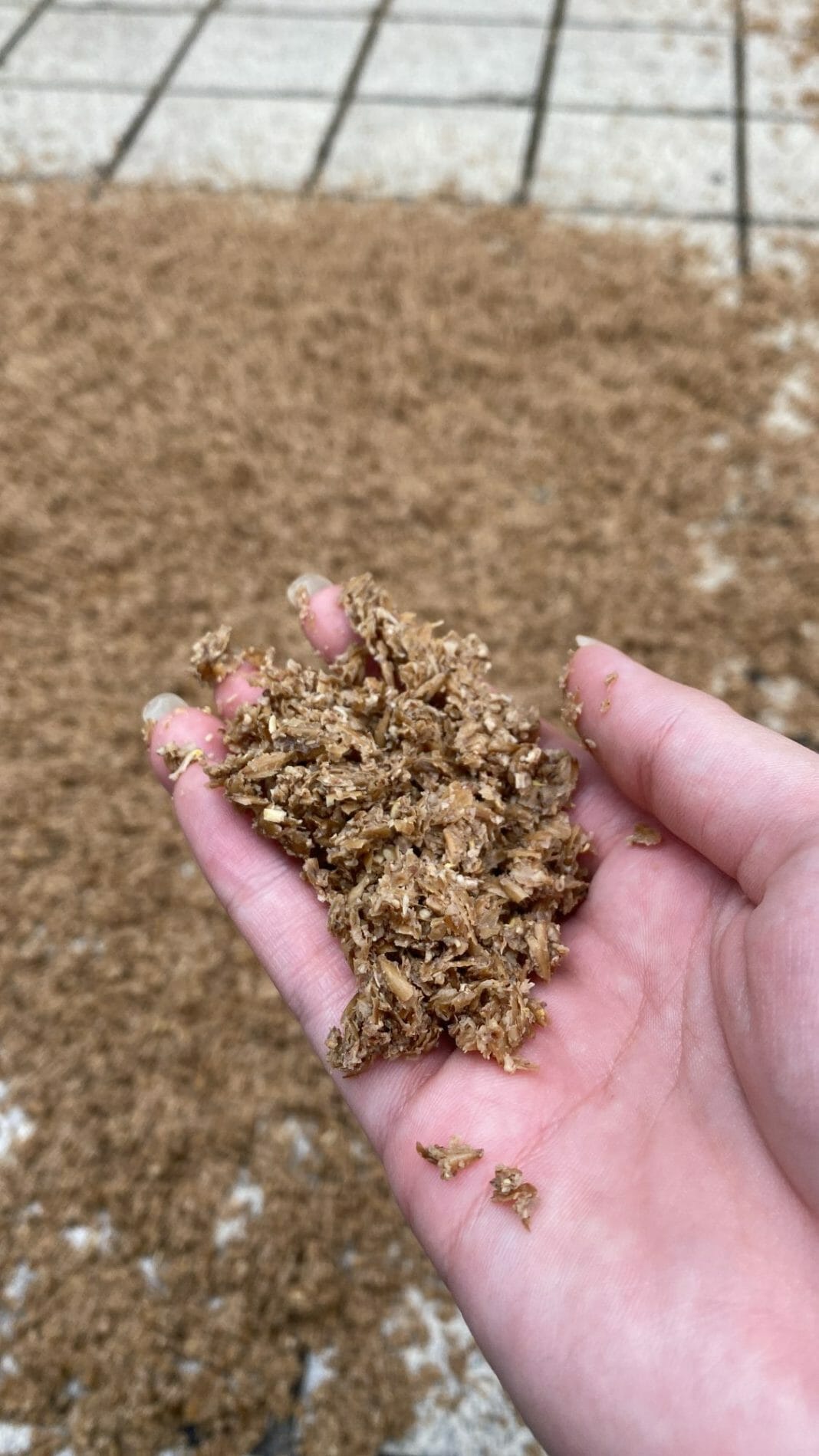 A Brewer’s Journey – Converting Waste Into Value - BusinessToday