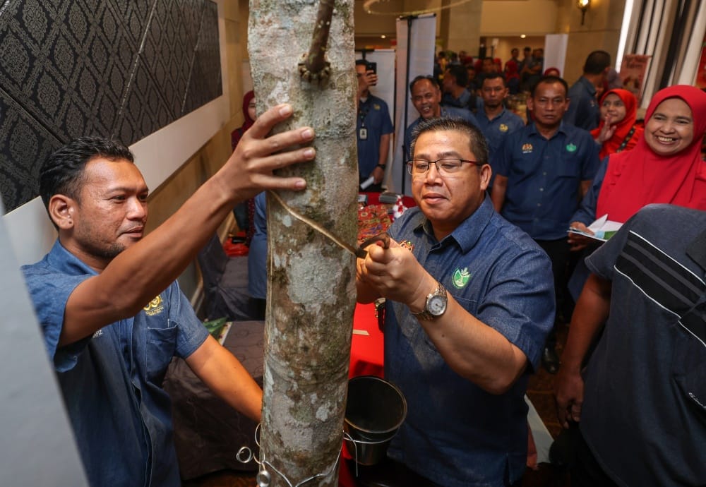 Risda Introduces Five Initiatives To Recultivate Untapped Rubber ...