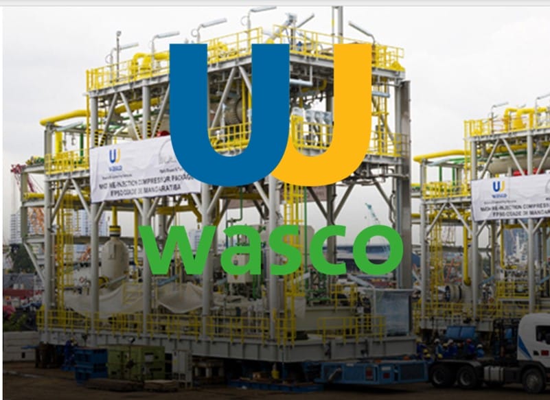 Wasco Commits To ESG Commitment, Joins UN GCN - BusinessToday