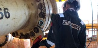 steel hawk - BusinessToday