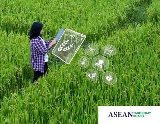 ASEAN Taxonomy V2 Takes Effect After Consultation