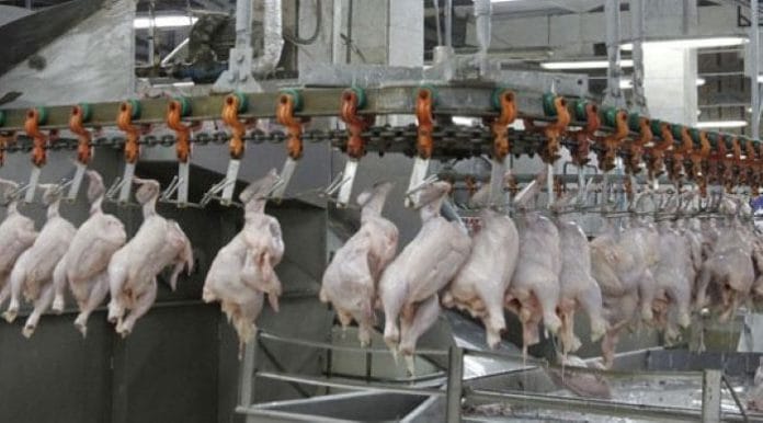 Malaysia To Get More Brazilian Chicken