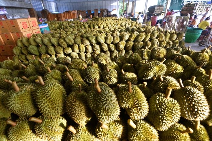 Malaysia's Fresh Durians Sold Out Within 24 Hours In China