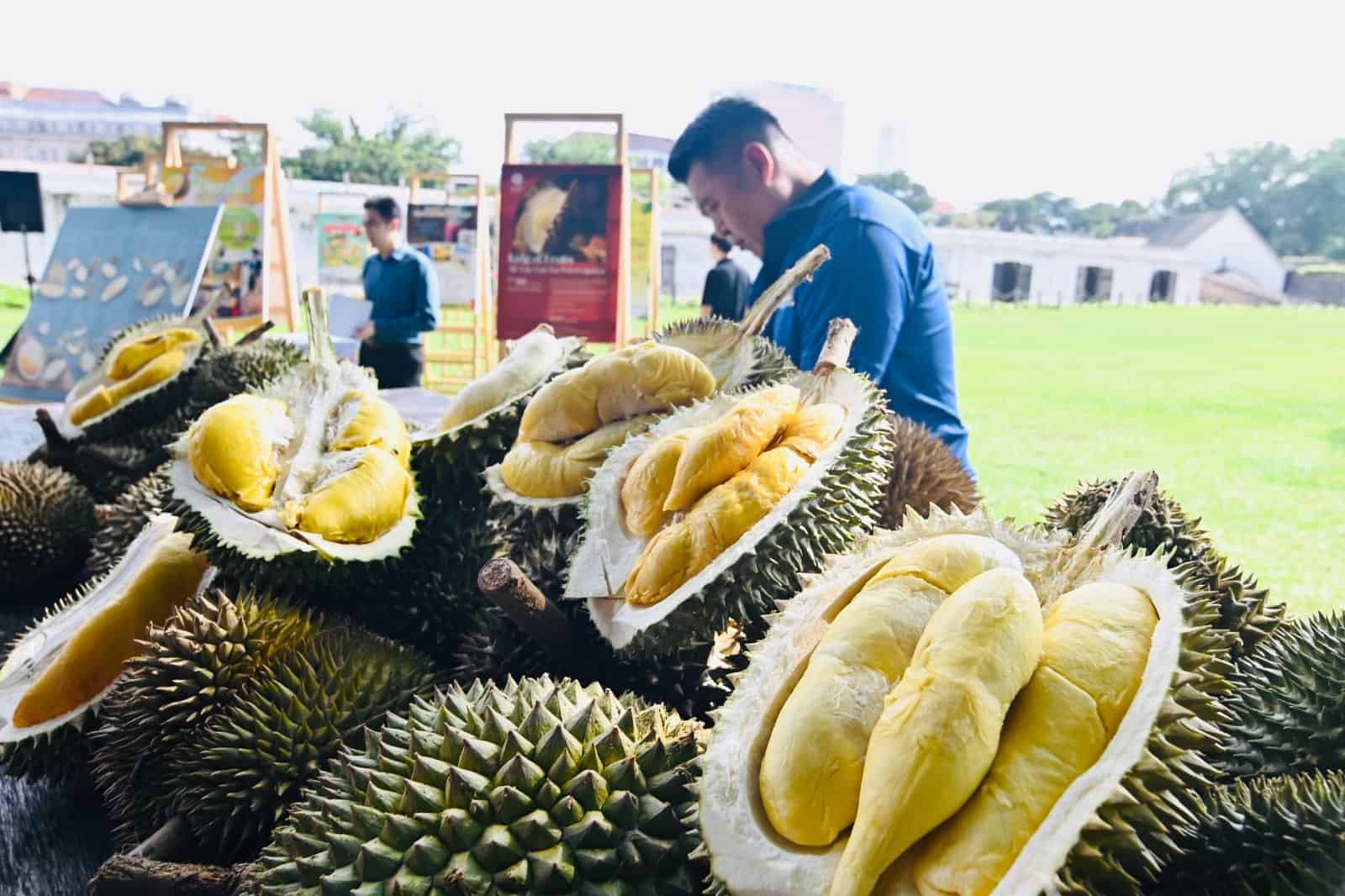 First Wave Of Durian Season Begins In Penang