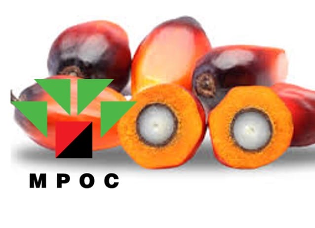 Palm Oil Prices Poised for Stability Before Gradual Climb