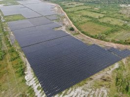 Cypark's 100MW Merchang Solar Plant Reaches COD